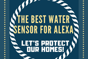 The Best Water Sensors For Alexa: Let’s Protect Our Homes! - My ...