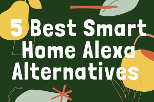 5 Best Smart Home Alexa Alternatives - My Automated Palace