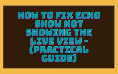 How To Fix Echo Show Not Showing The Live View - (Practical Guide) - My ...
